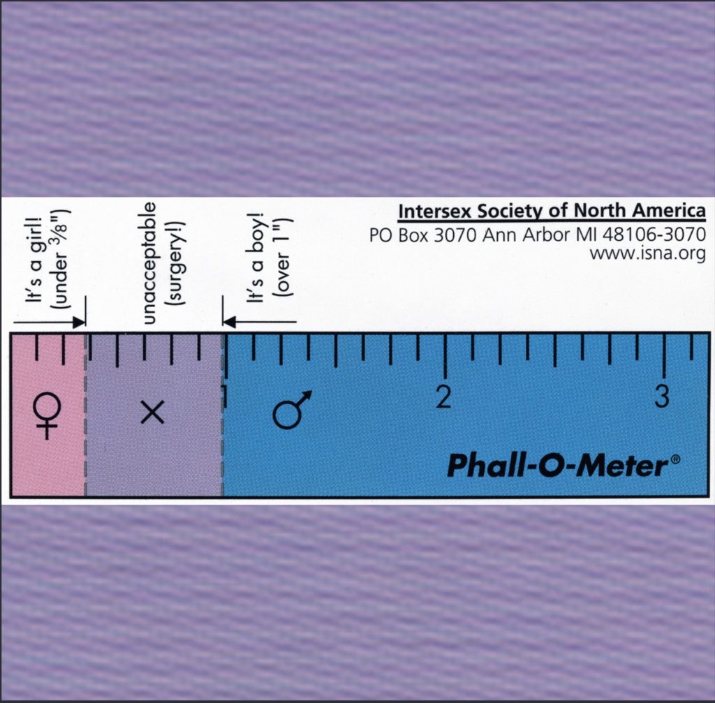 phallometer_source – OII Europe
